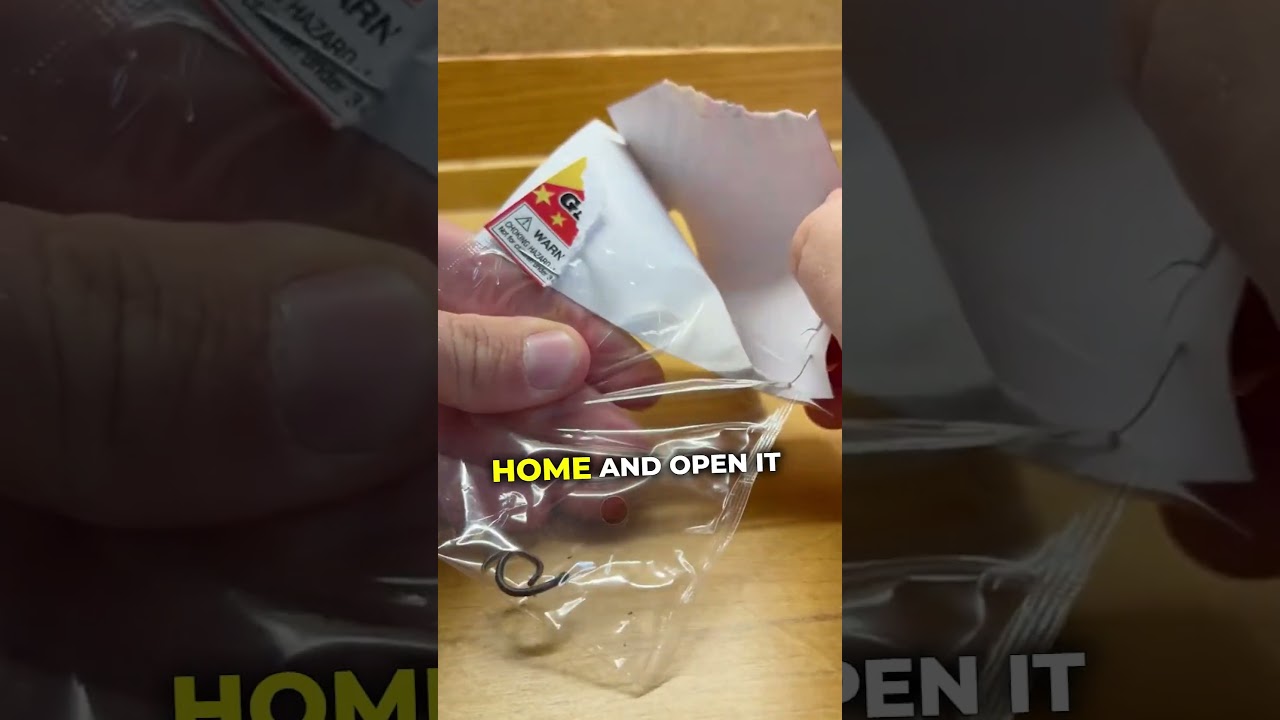 This bug toy is incredible 😱