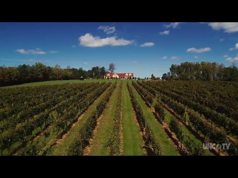 Herrera Vineyards | NC Weekend | UNC-TV