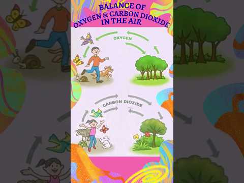 Balance of Oxygen and Carbon Dioxide in the Air | #shortvideo #oxygen #carbondioxide #air