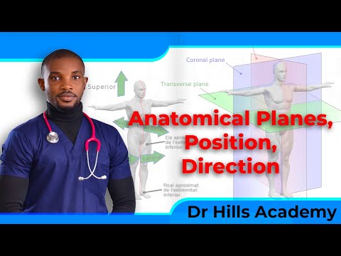Anatomical Position, Planes, Sections, Regional Terms, Terms of Direction and Movement