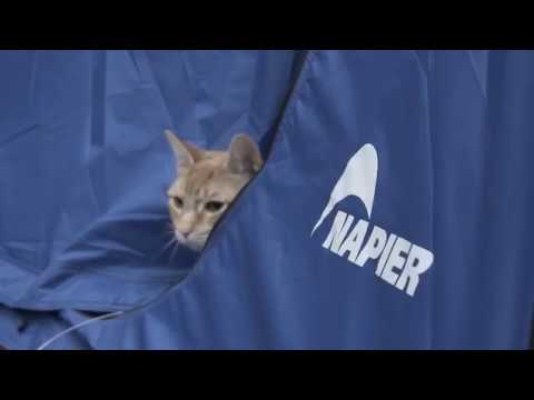 Meet the Sportz Truck Tents' Camping Partner: The Sportz Link