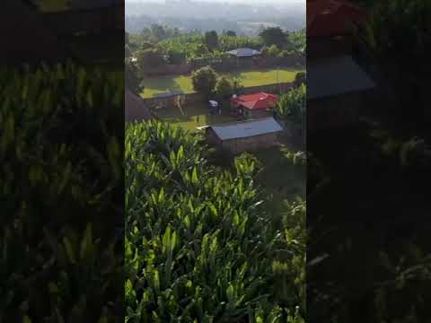 jefore A traditional beaiutiyful road of gurage society by Gogot Tv
