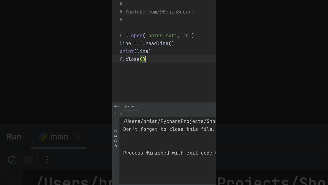 Python File Reading Secrets Revealed