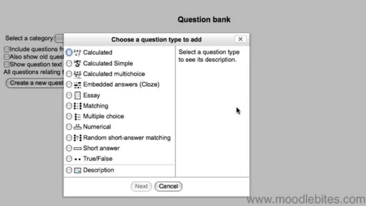 Quiz Questions Part 1 - Types and Categories