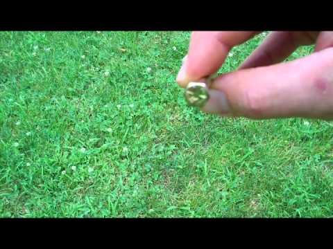What are Graded Bolts?