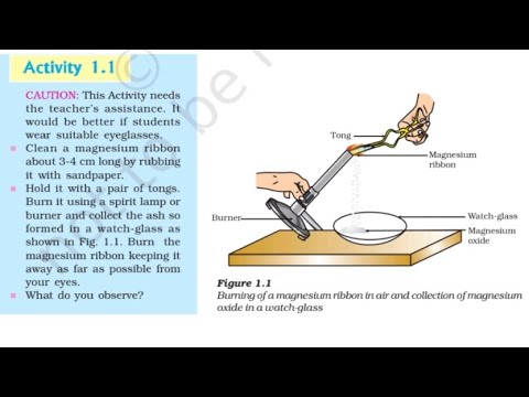 How magnesium ribbon burns with dazzling white flame 🔥 | practical video | experiment