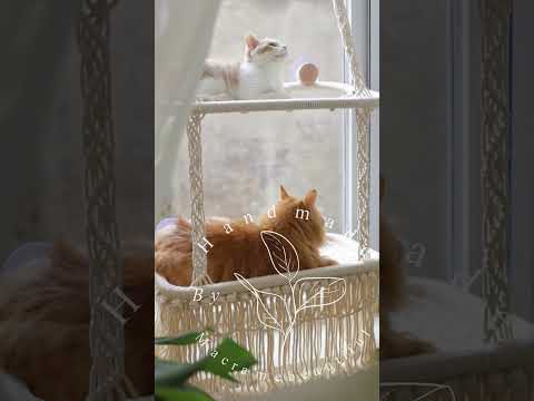 2 tier Macrame Cat Window Perch-Designed and handmade by Macramebeautiful
