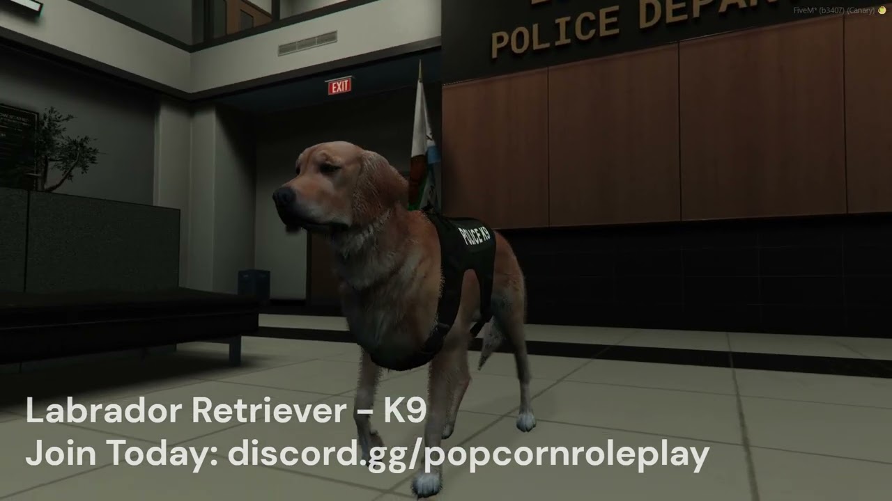 labrador Retriever K9 - Addon Dog Ped - FiveM Releases - Cfx.re Community