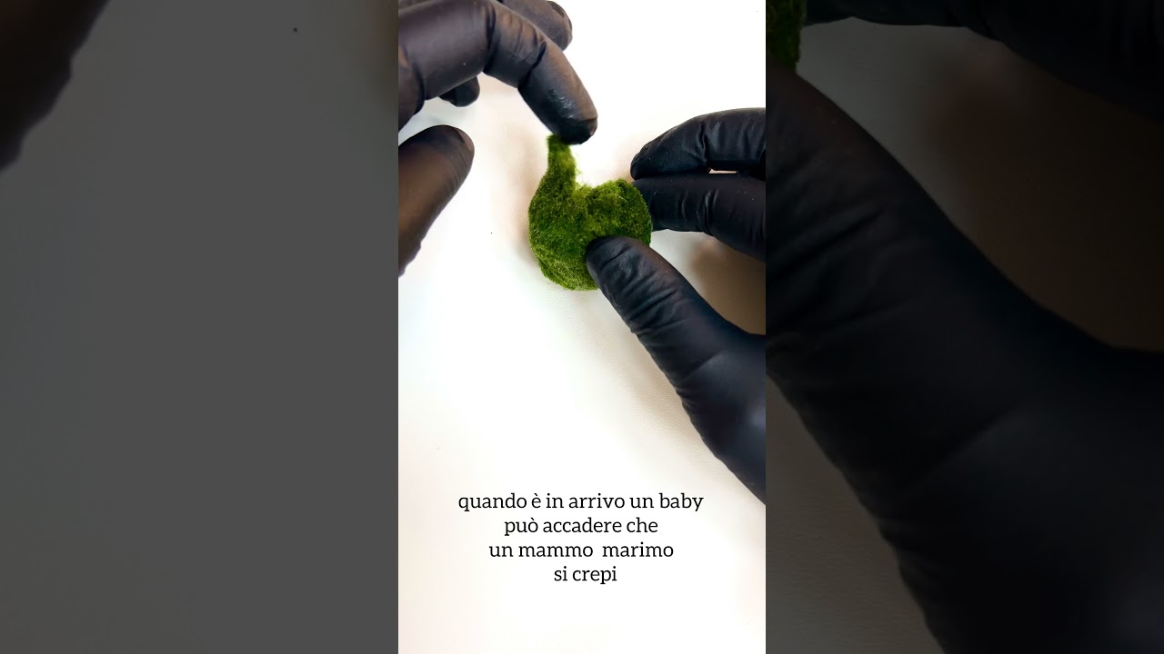 Si è rotto il Marimo: come legarlo!