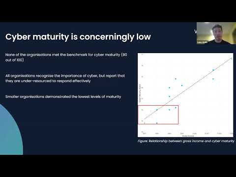 Assessing Cyper Security
