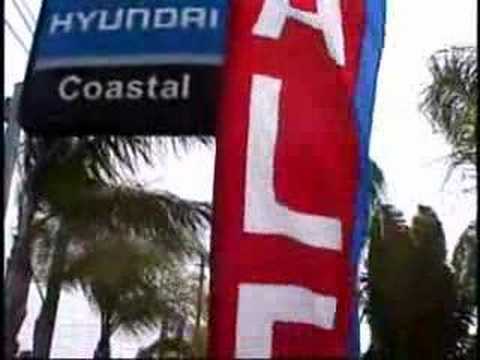Car Dealer Flags - Tall Attention Advertising Flags