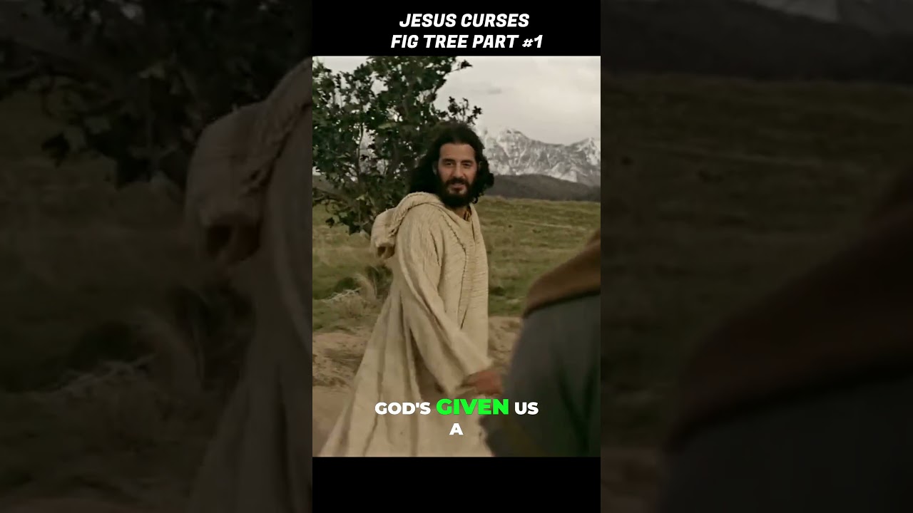 Jesus Curses Fig Tree Part #1