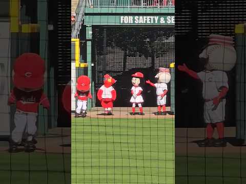 Greatest Mascots Ever#513 #mlb #baseball #mascot #redlegs #reds #cincinnati #rosie #gapper #rap #him