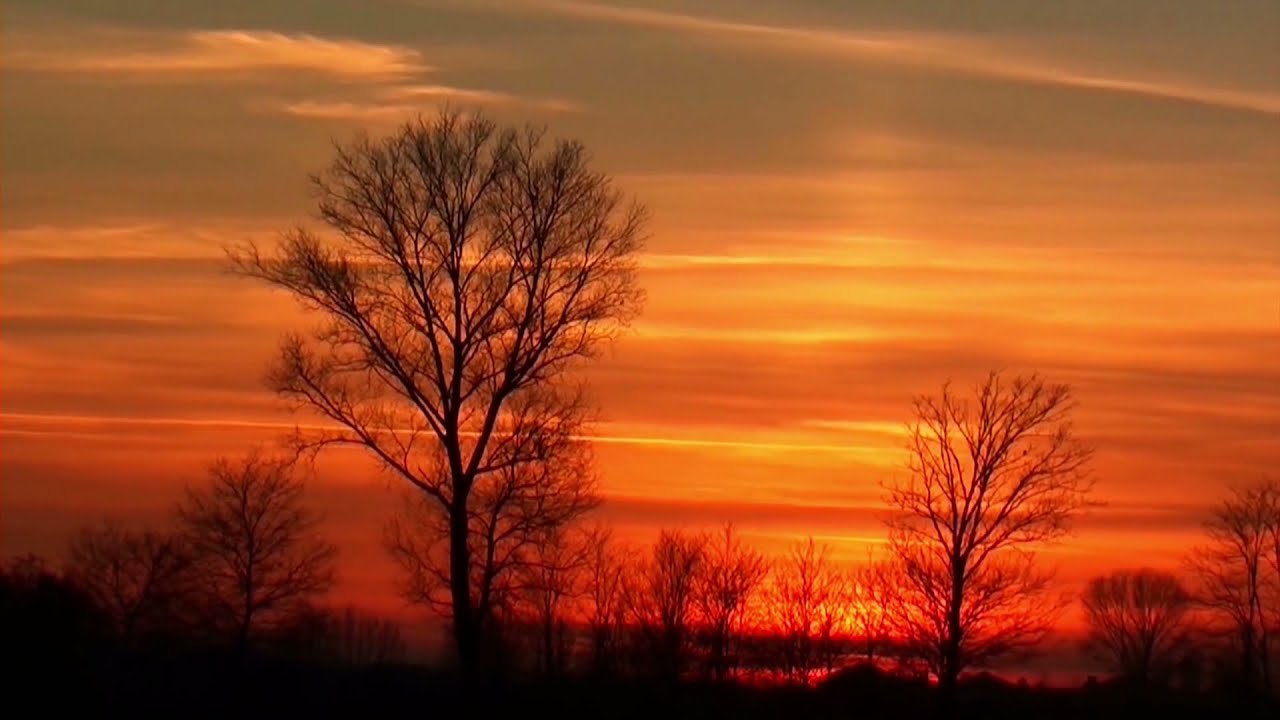 Sunset Horizon View | Free Background video | Wonderful World