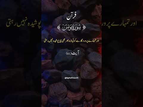 Quran Tarjuma #quran#lightofislam #sunnah #muslimquran #quranrecitation #quranverses #muslim#quotes
