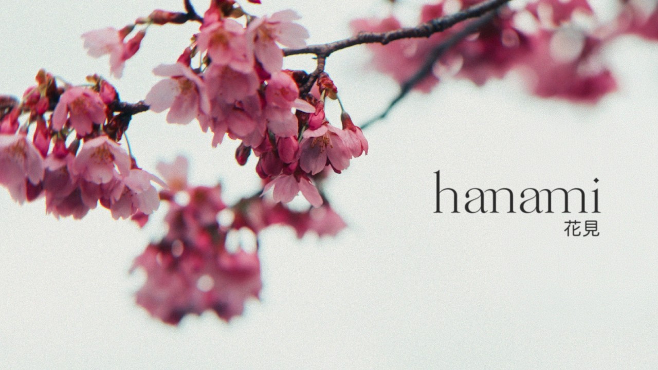 Hanami