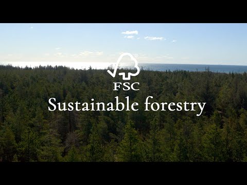 Sustainable Wood - Craftmanship with Forestry Certification