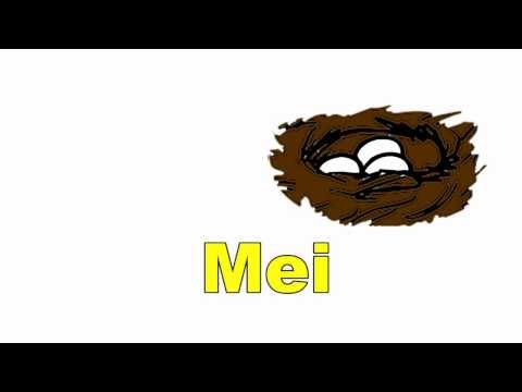 De maanden van het jaar leren nederlands kleuters peuters kinderfilmpje