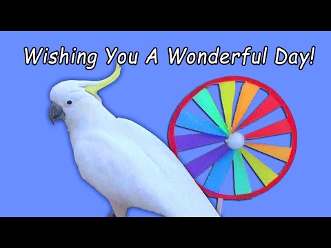 Have A Wonderful Day - eCard