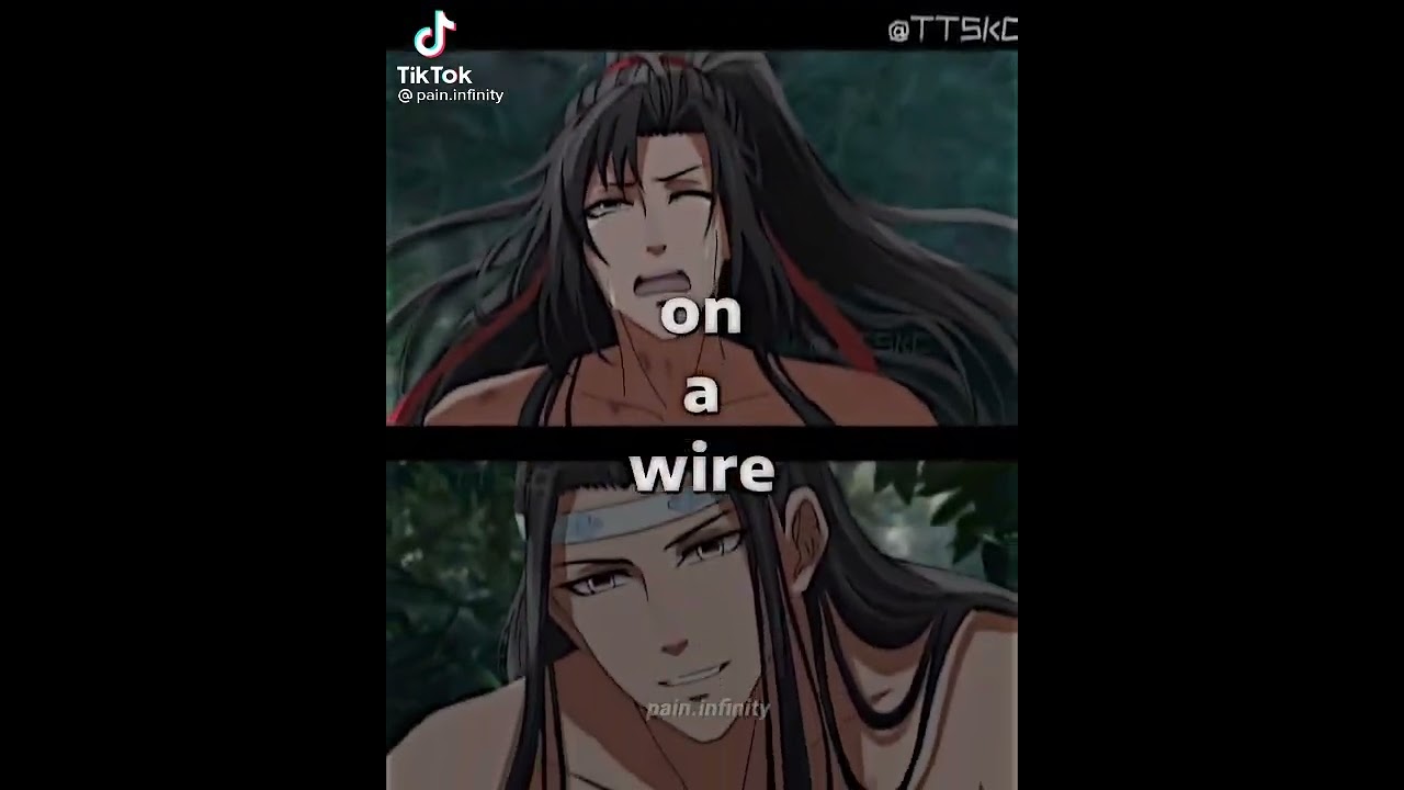 ⚠Two birds...one a wire😳 #mdzs #modaozushi #weiying #weiwuxian #lanzhan #mxtx