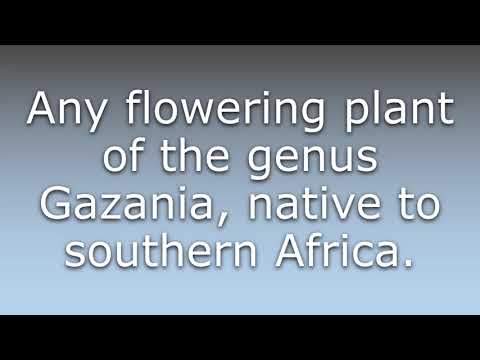 What does Gazania mean?