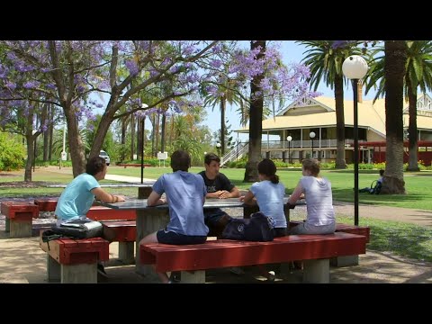 Study Science at The University of Queensland's Gatton campus