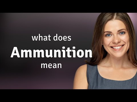 Ammunition — meaning of AMMUNITION