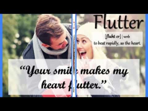Flutter Vocabulary in Hindi