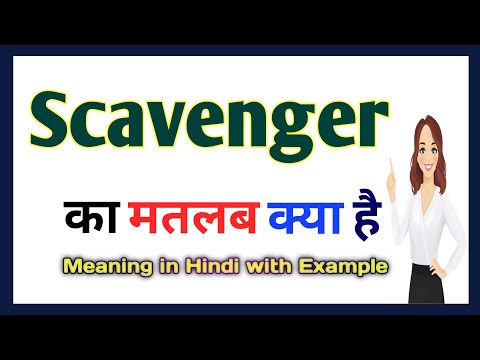 Scavenger meaning in Hindi || Scavenger का हिंदी अर्थ || English vocabulary in Hindi