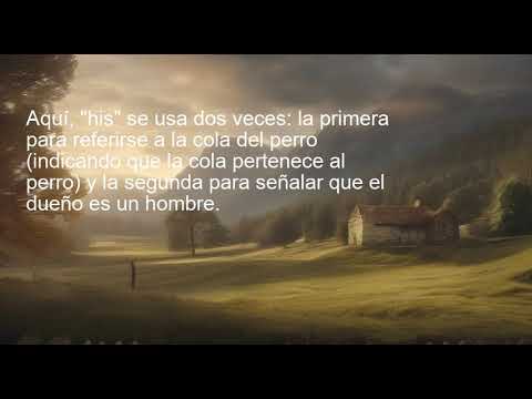 «Pronombre posesivo ‘his’ en inglés» – Nariene