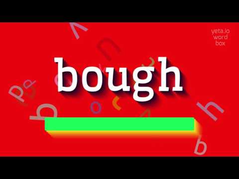 How to say "bough"! (High Quality Voices)