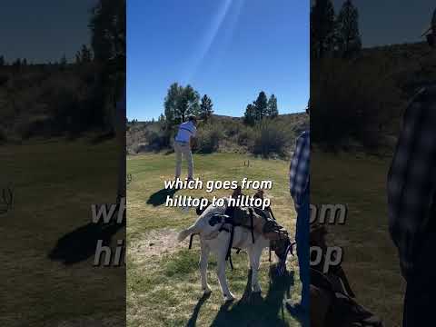 Goat Caddies?! Check out this unique offering from Silvies Valley Ranch 🐐