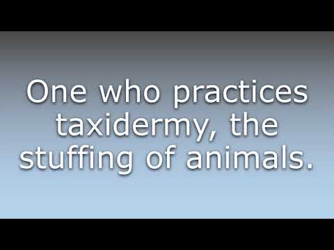 What does Taxidermist mean?