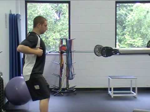 Standing Cable Row