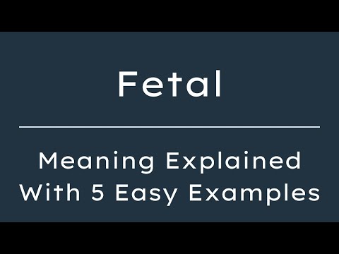 What Does Fetal Mean? Fetal Meaning in English With 5 Example Sentences