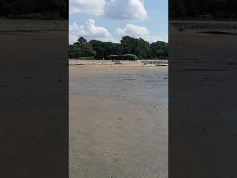 marée Arcachon