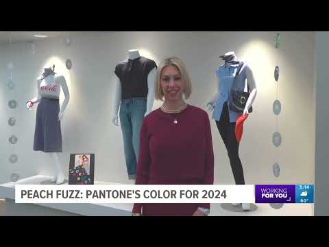 KFMB-SD: Peach Fuzz: Pantone's Color for 2024 (feat. Mesa Fashion Professor Lyndsey Johnson)