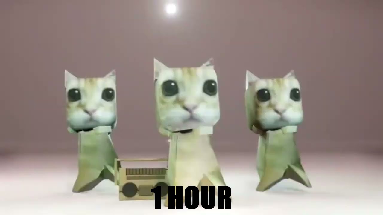 el gato dancing for 1 hour