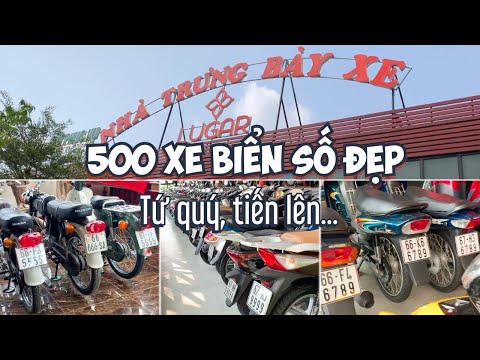 Bộ sưu tập 500 xe biển số đẹp tứ quý, ngũ quý, tiến lên... độc nhất Việt Nam