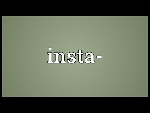 Insta- Meaning