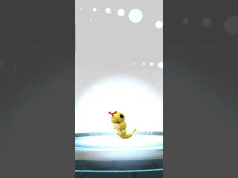 Shiny Caterpie Family - Shiny Evolution