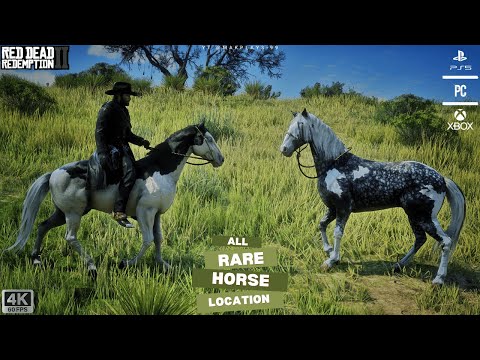 All 22 Rare Horse Locations - RDR2