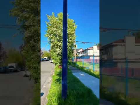 Weather in canada vancouver