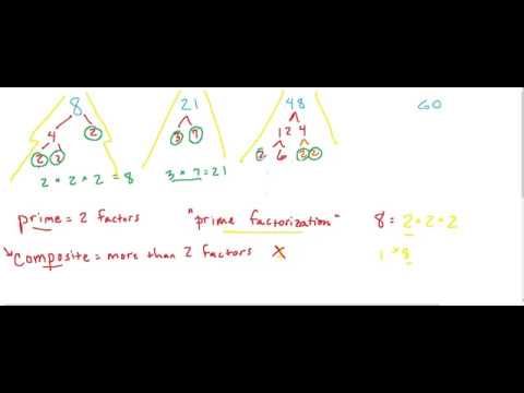 Prime Factorization with Factor Trees - Lesson 65