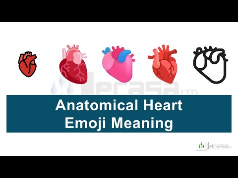 Anatomical Heart Emoji 🫀 Meaning | Learning Emojis