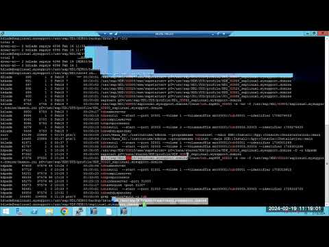 SAP HANA 2.0 - BACKUP & RESTORE