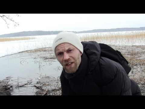 1005 16 3 15 51 Ei vierivä kivi sammaloidu