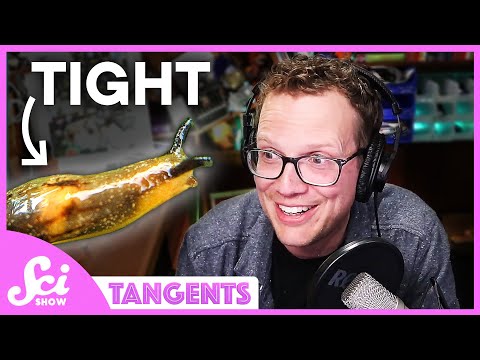 Glue | SciShow Tangents Podcast