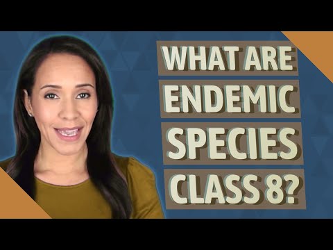 What are endemic species Class 8?