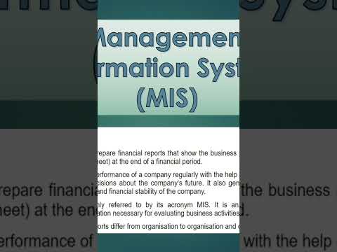 theory of MIS report